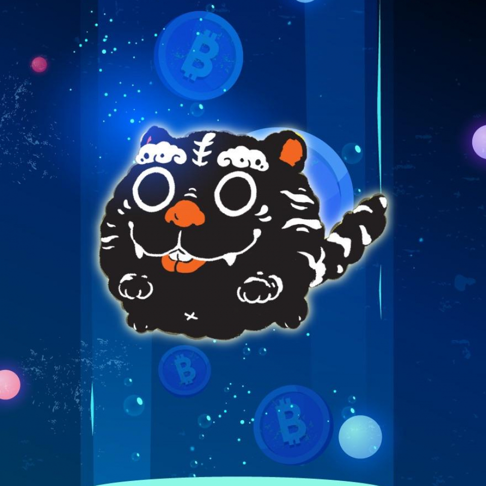 Crypto Tiger 加密虎虎.黑虎 | OurSong