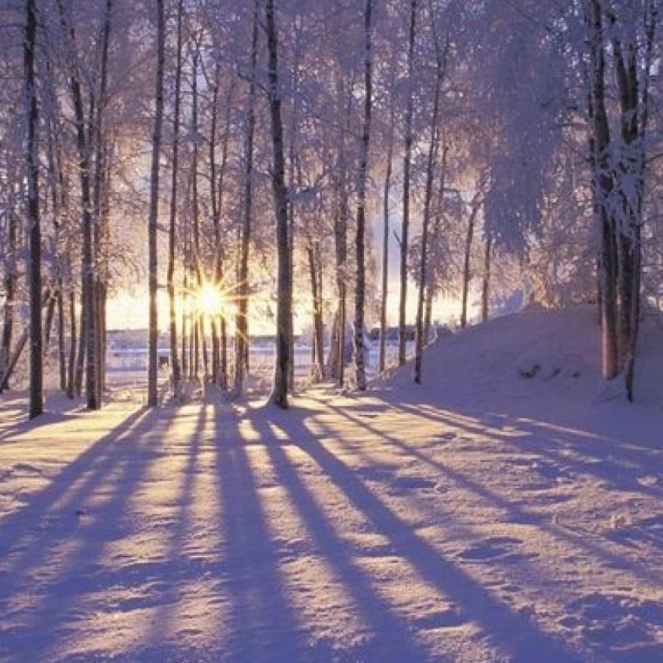 白雪紛飛（限發4張、首發分潤） | OurSong