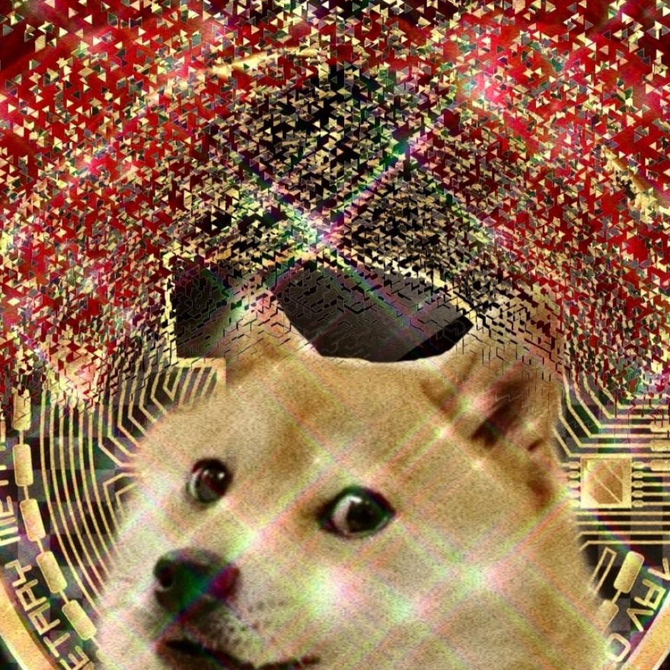 Vanishing Doge Coin | OurSong