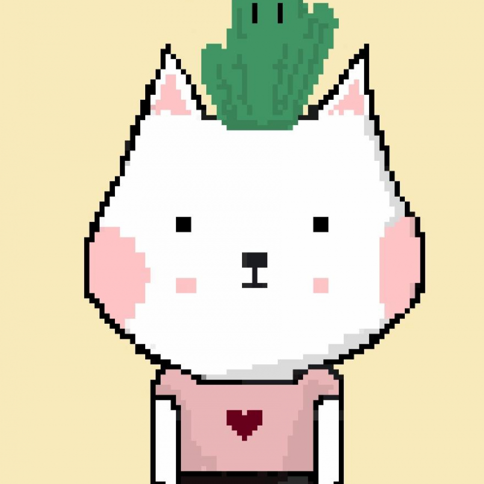 2Dcat # Angry Cactus cat | OurSong