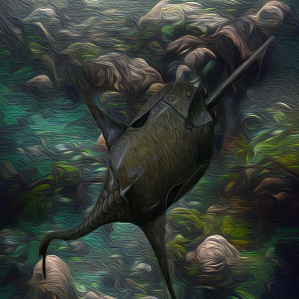 (永久分潤)達克盾魚#63 | OurSong